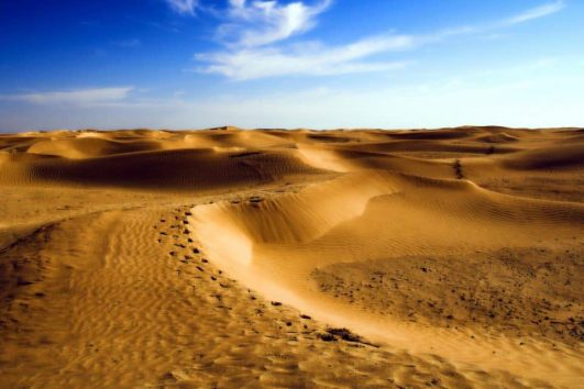Evening Desert Safari in Ras Al Khaimah Dunes - VooTours Tourism