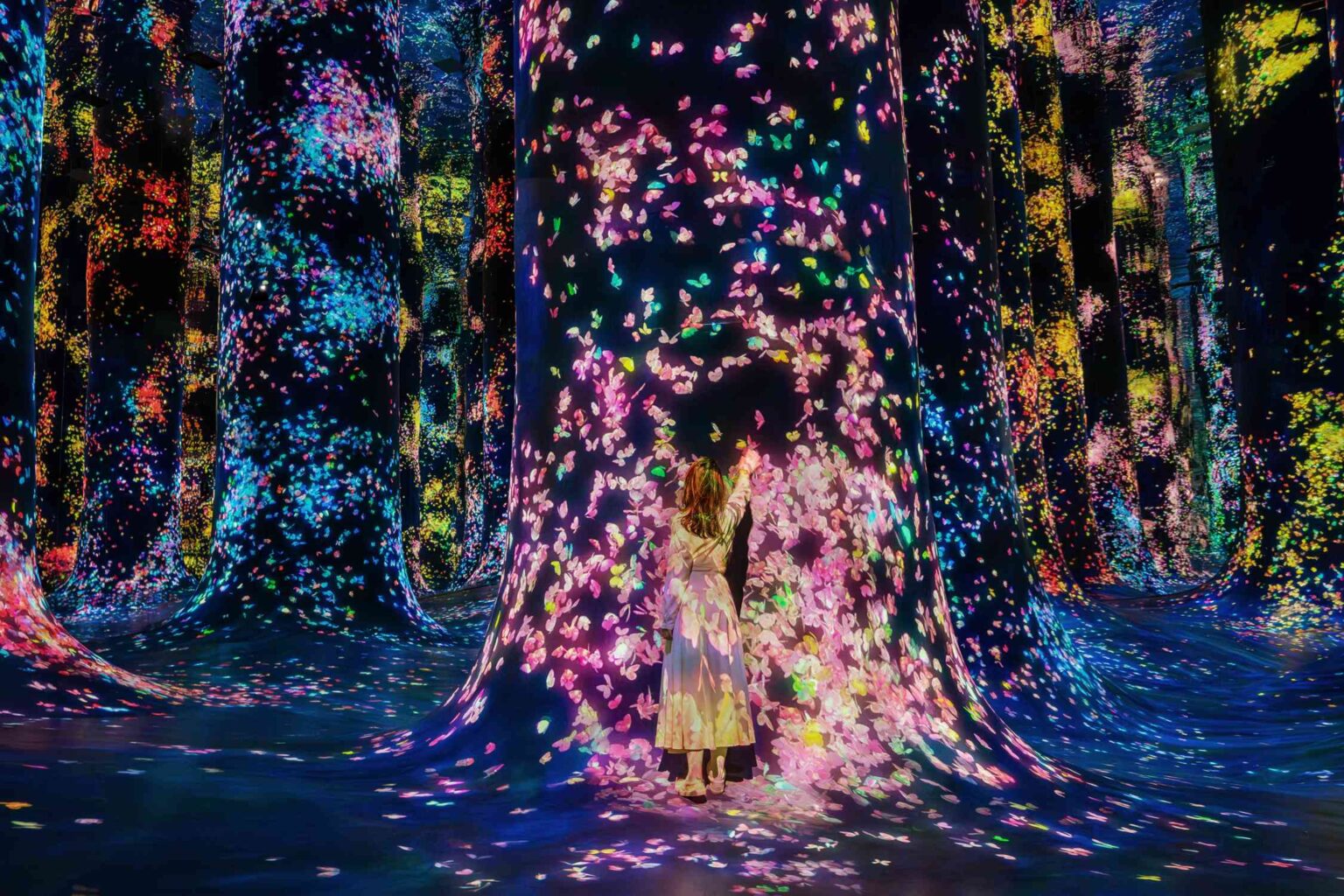 TeamLab Phenomena Abu Dhabi | Immersive Digital Art Experience