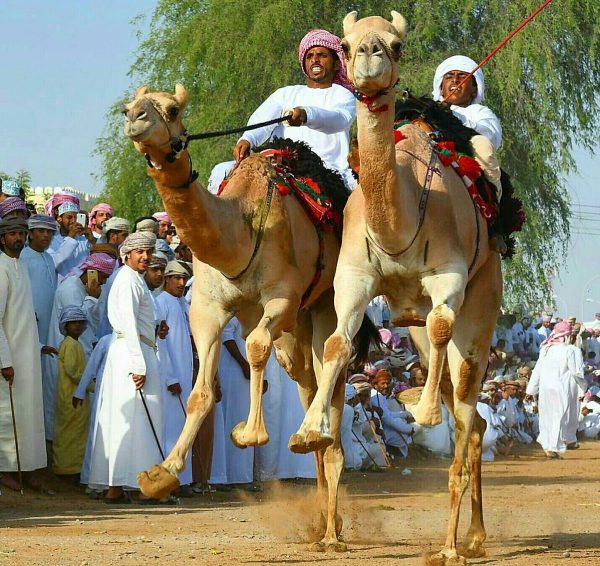 Al Dhafra: Discover the UAE’s Hidden Desert Treasure