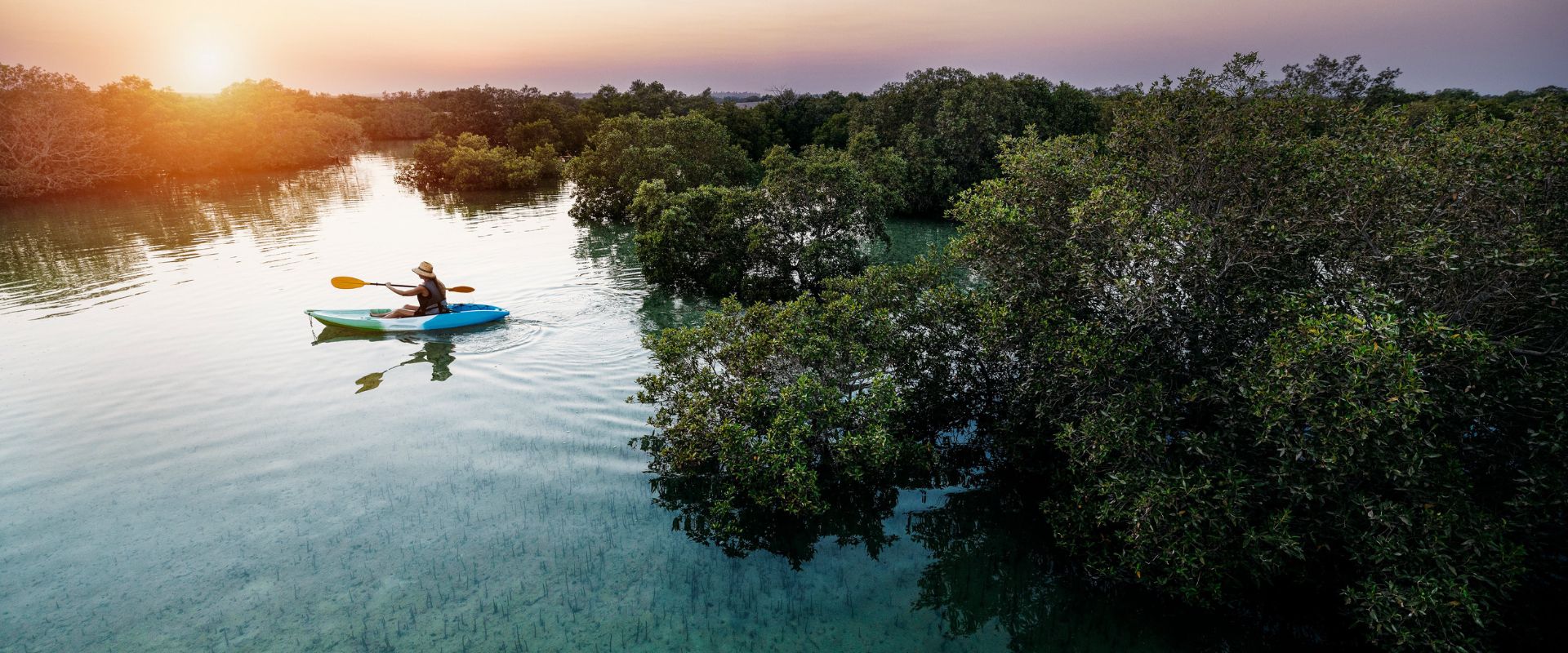 Jubail Mangrove Park Abu Dhabi: Activities, Tickets & Tips